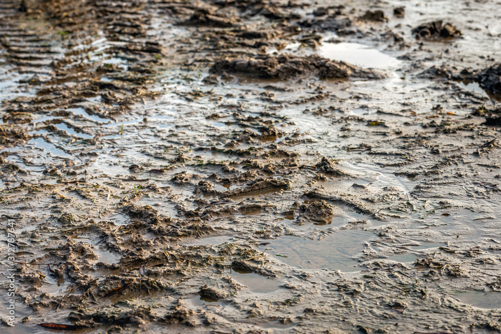 Soaked clay soil after a heavy rain shower. Tire tracks of heavy ...