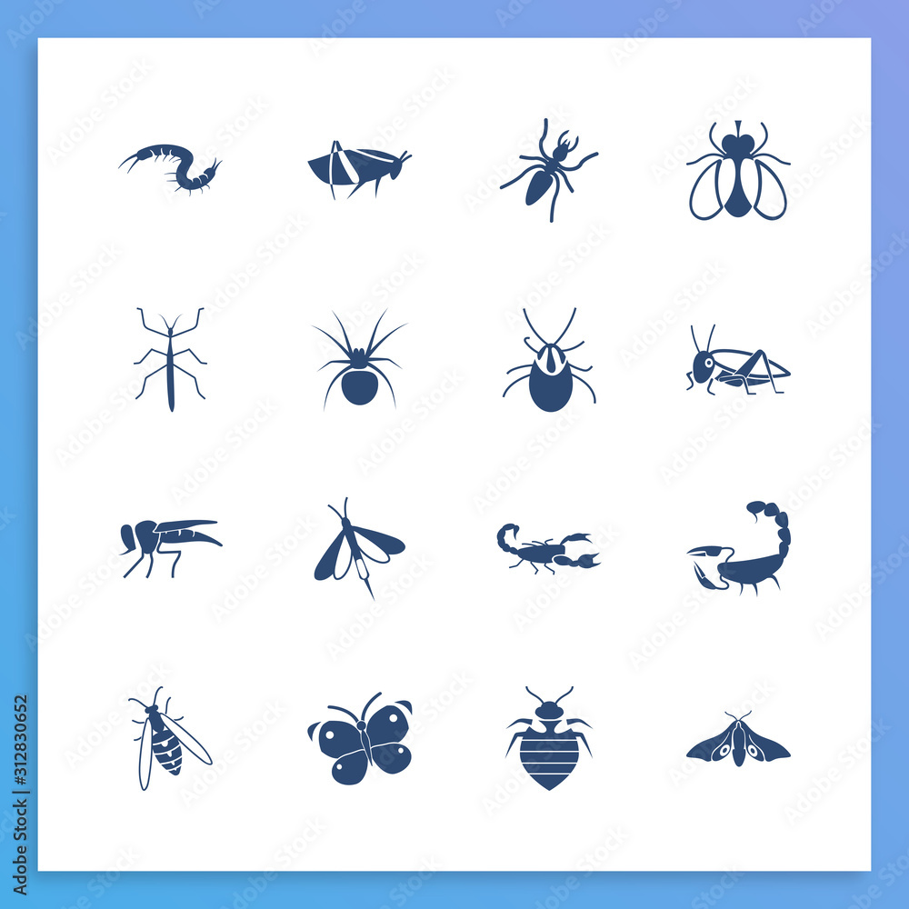 Insects icon set and leaf cricket with fly, giant wood wasp and ...