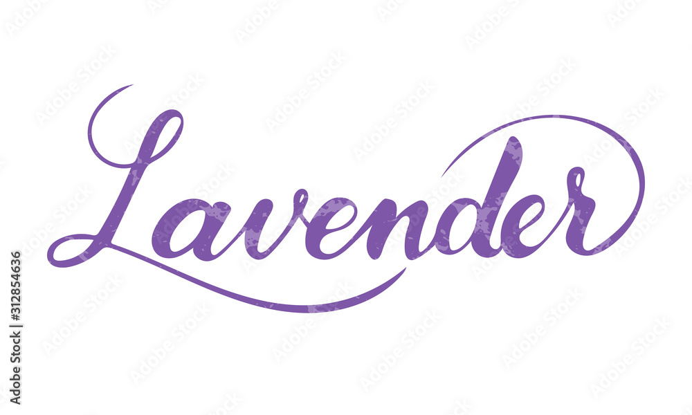 Vector hand written lavender text isolated on white background. Kitchen ...