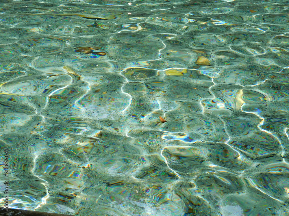 Textura agua estanque natural acuático Stock Photo | Adobe Stock