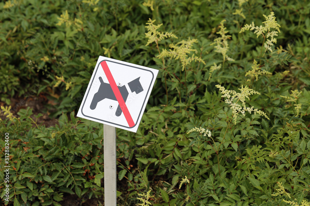 No dogs sign in a park letting people no that this is a no dog zone ...