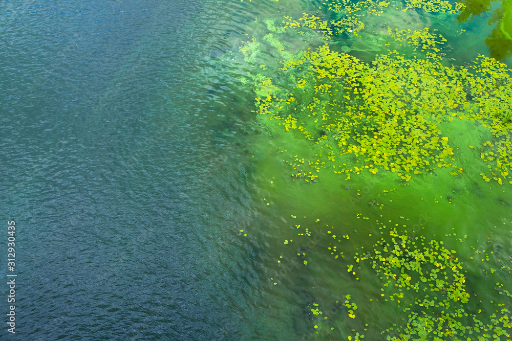 Dirty water in the river. Pollution of the river water. Ecological ...