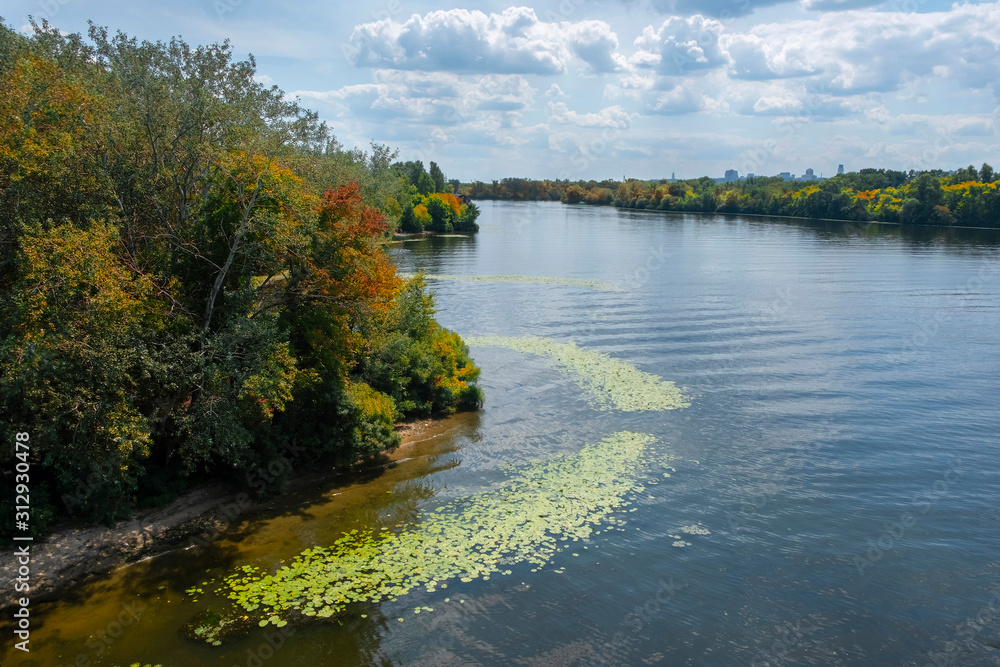 Blooming green algae on the river. Water pollution of rivers and lakes ...