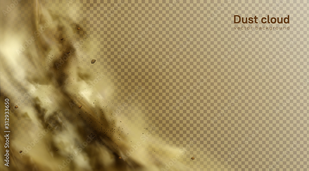 Desert sandstorm, brown dusty cloud or dry sand flying with gust of ...