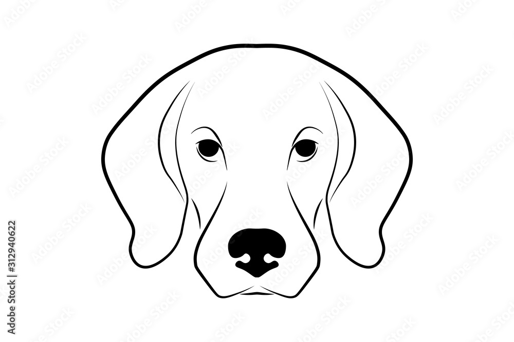 Dog head front view. Black linear sketch on white background. Vector ...