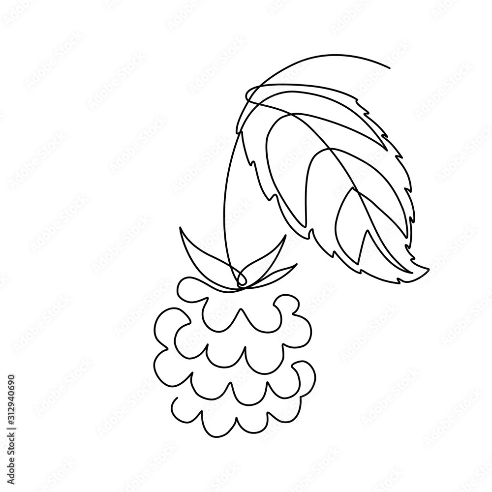 Raspberry fruit in continuous line art drawing style. Minimalist black ...