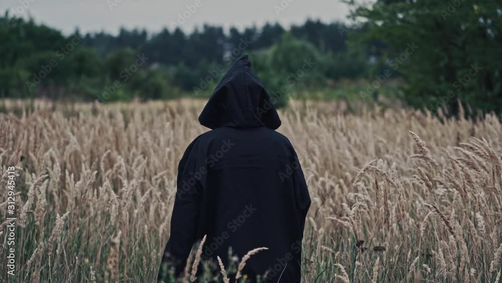 Dark ghost on a wheat field. Back view of a spooky figure in black ...