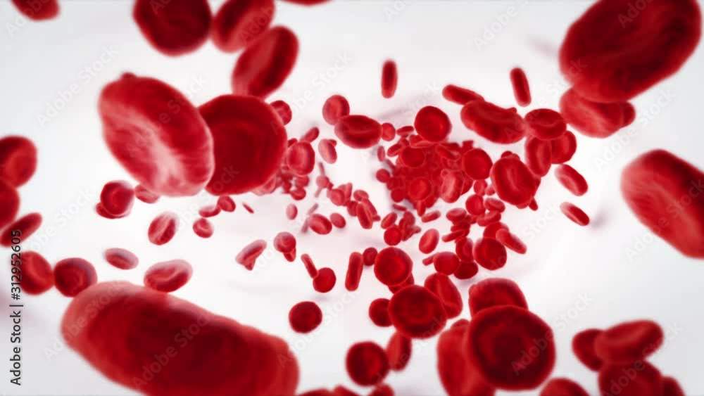 Blood cells in an artery. 2 videos in 1 file. Red blood cells moving in ...