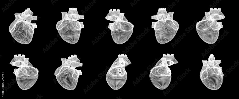 Human heart. White 3d model. Mesh. Stock Illustration | Adobe Stock