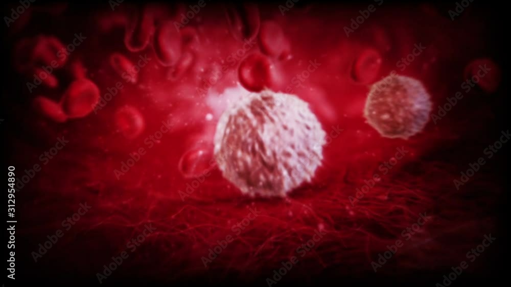 Inside a human cell. Lymphocyte. Damaged. Journey through the blood ...
