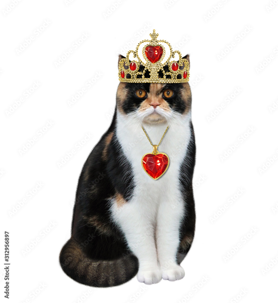 The cat queen wears a gold crown and a red heart shaped pendant. White ...