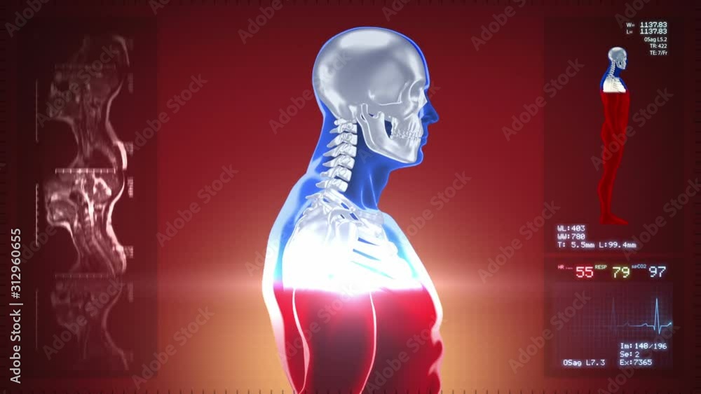 Detailed human body turning. Scan. Loopable. Blue and white. Red ...