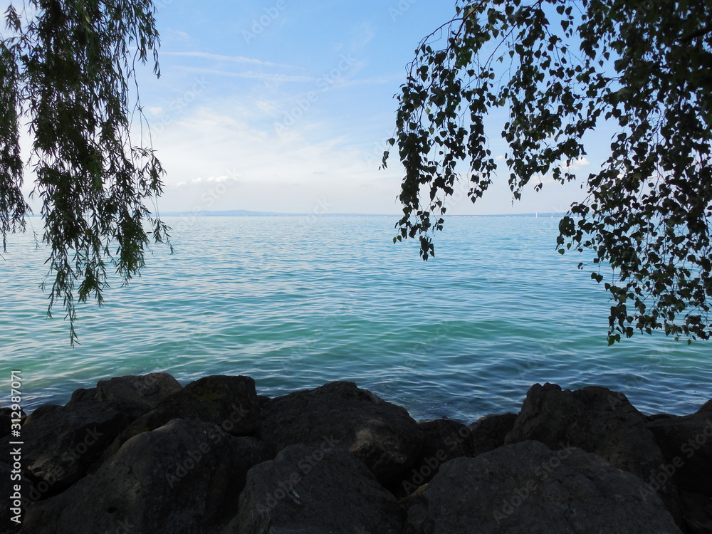 der Ast Stock Photo | Adobe Stock