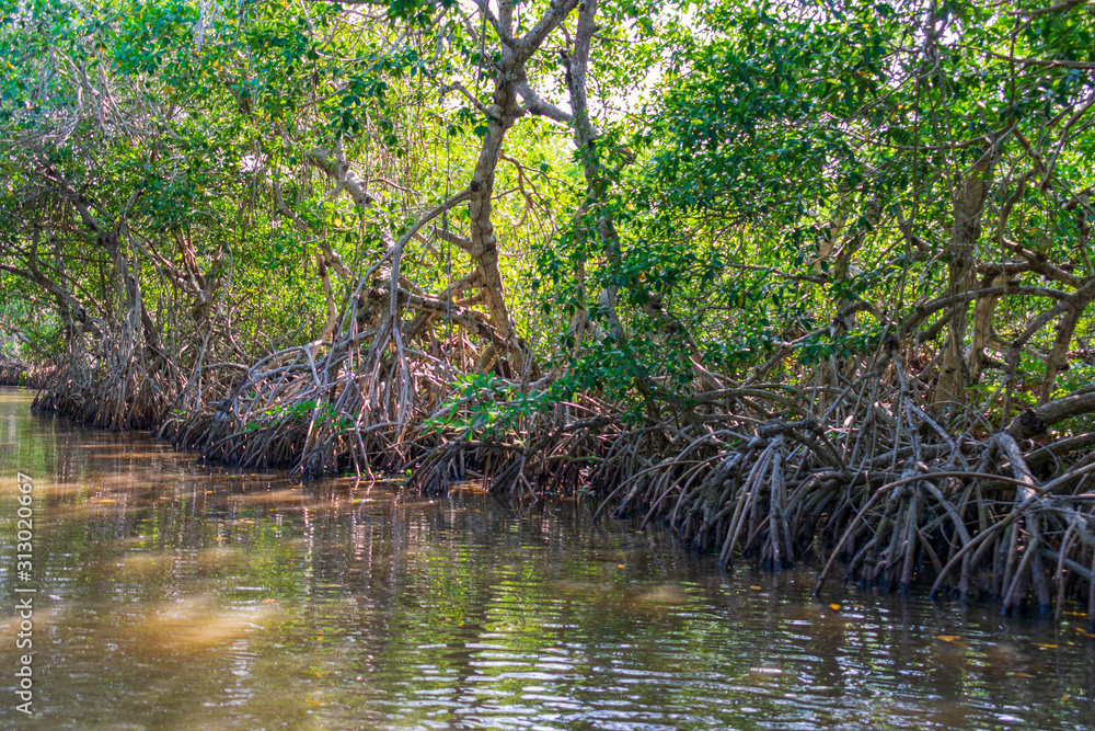 El principal lugar para visitar en Tecolutla Veracuz, México, son los ...