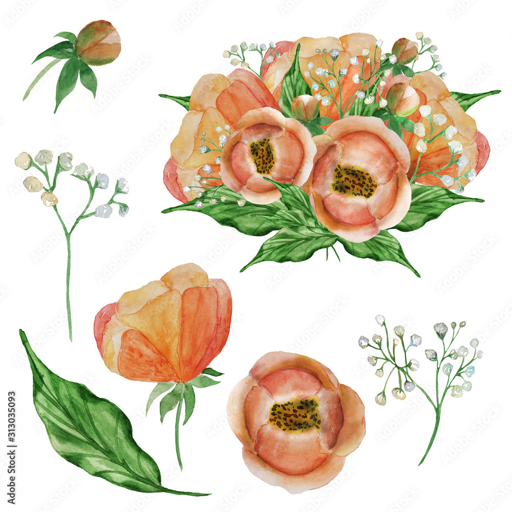 Set of peach flowers, peony buds and leaves,twigs of decorative ...