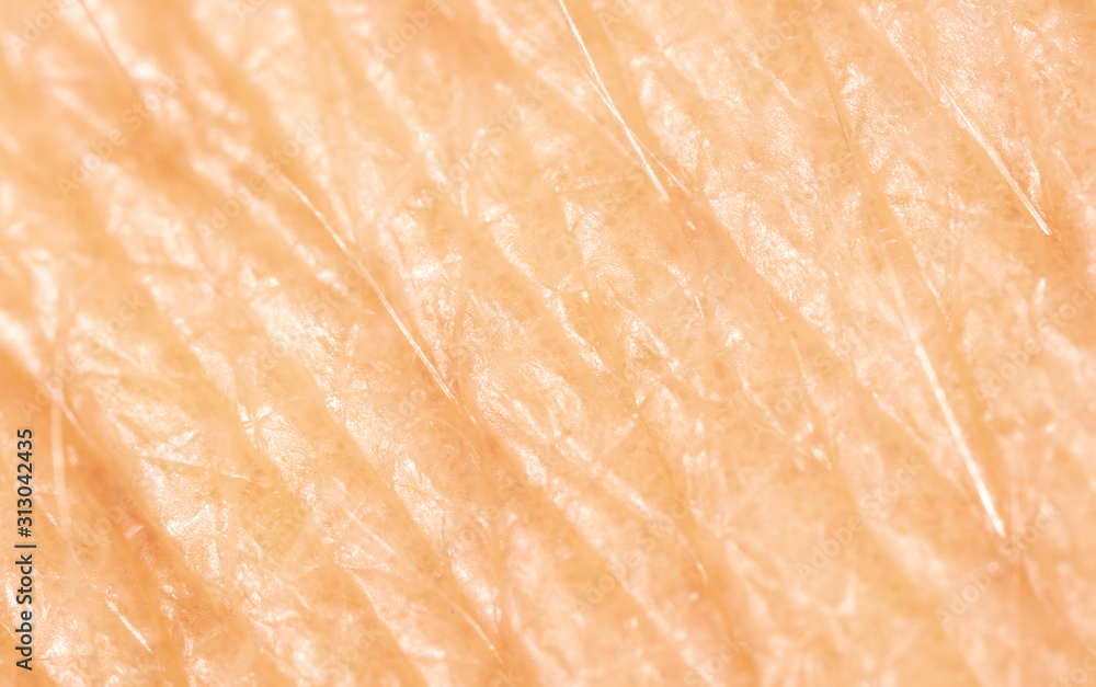 Human skin as a background Stock Photo | Adobe Stock