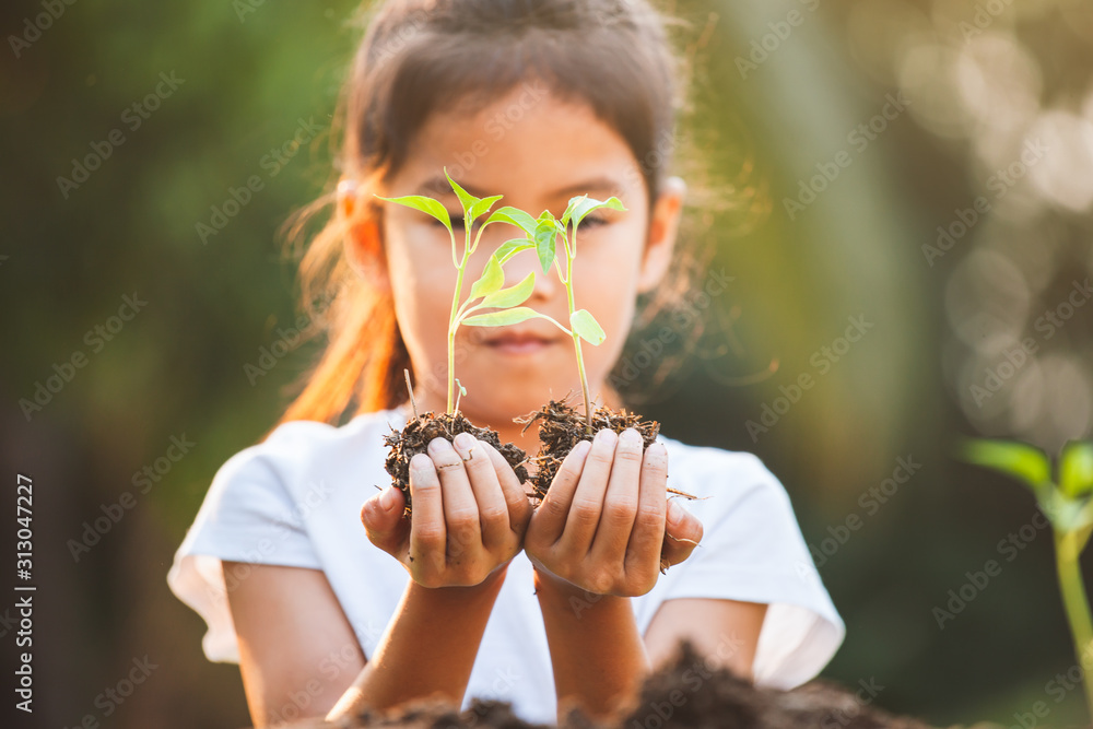 Cute asian child girl holding young tree for planting in the black soil ...