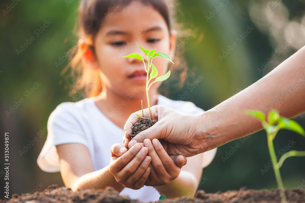 Cute asian child girl and parent planting young seedlings in the black ...