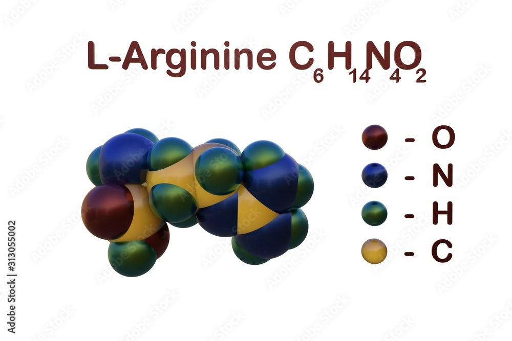 Structural chemical formula and molecular model of l-arginine, a ...