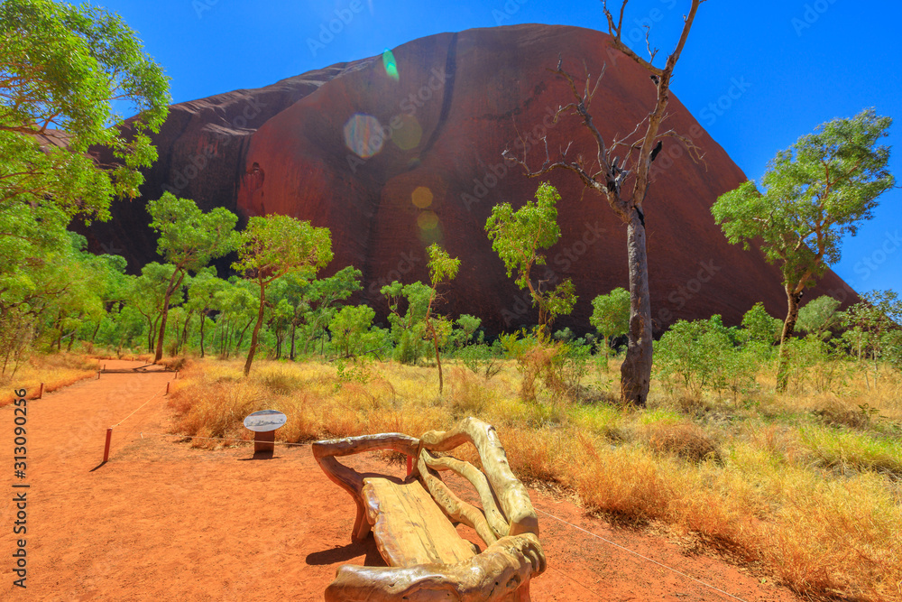 Wooden bench along red sand path and bush vegetation at Kuniya Walk in ...