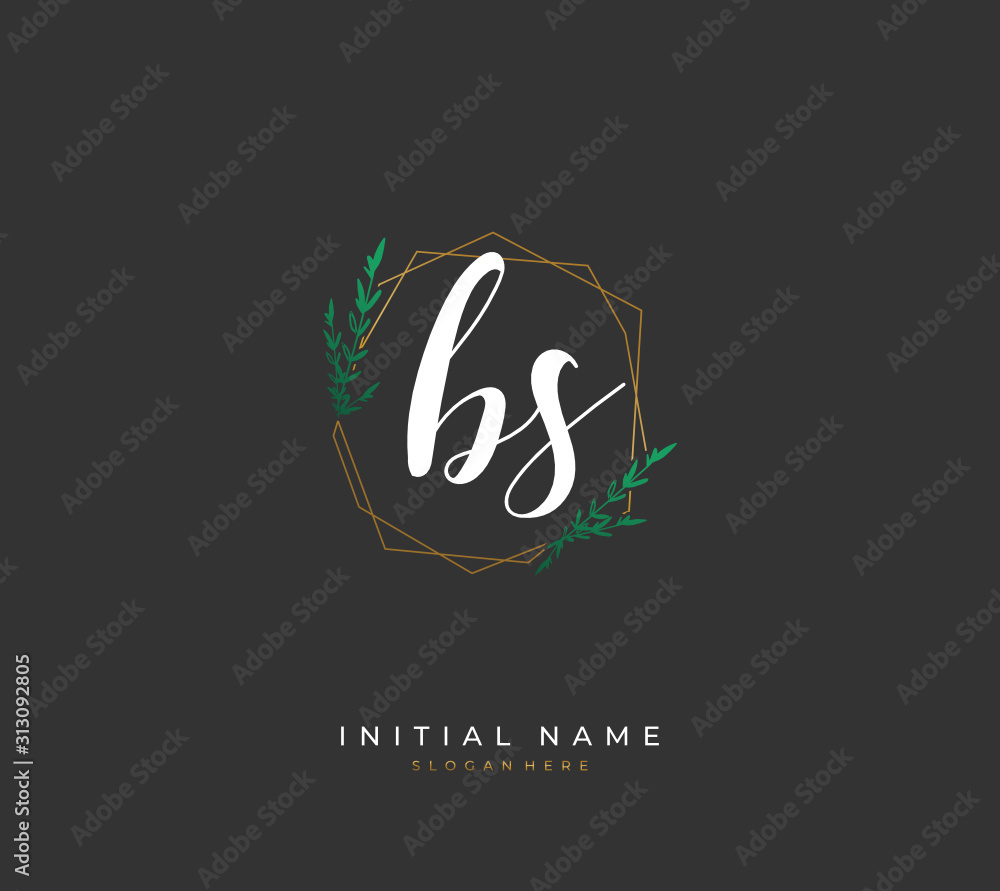 Handwritten letter B S BS for identity and logo. Vector logo template ...