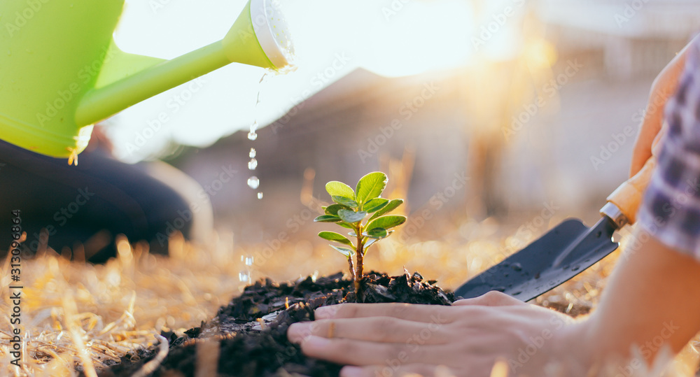 Two men are planting trees and watering them to help increase oxygen in ...
