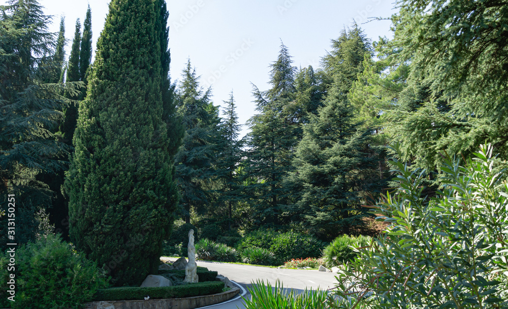Picturesque example of topiary art with evergreens against background ...