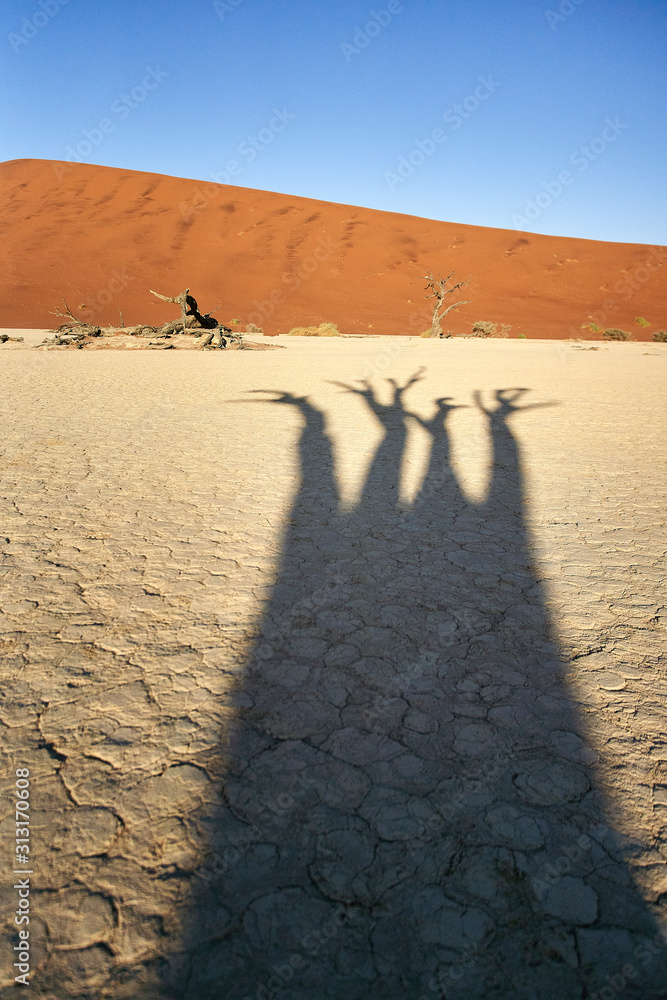 Dead tree shadow in Deadvlei at sunrise, Sossusvlei, Namib desert ...