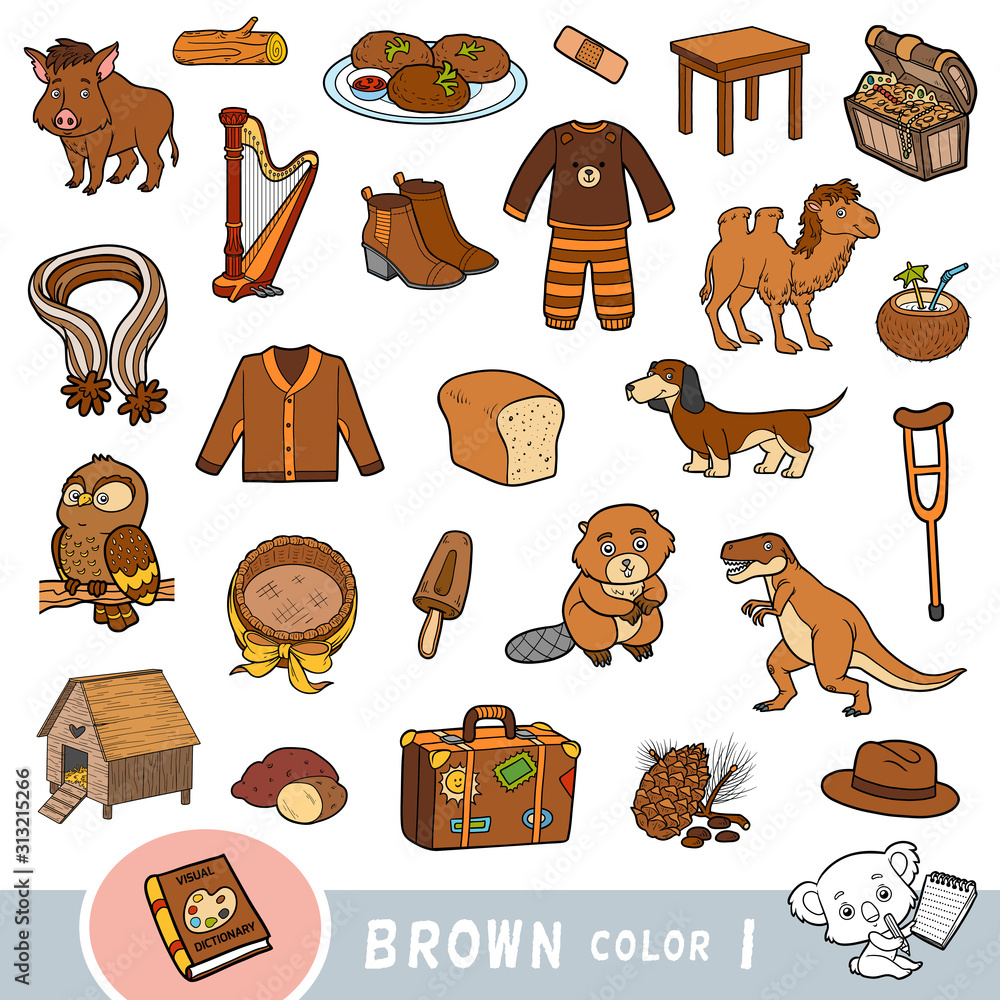 Colorful set of brown color objects. Visual dictionary for children ...