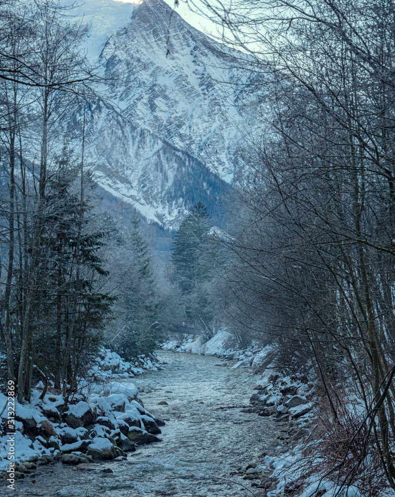 Winter Mountain Stream