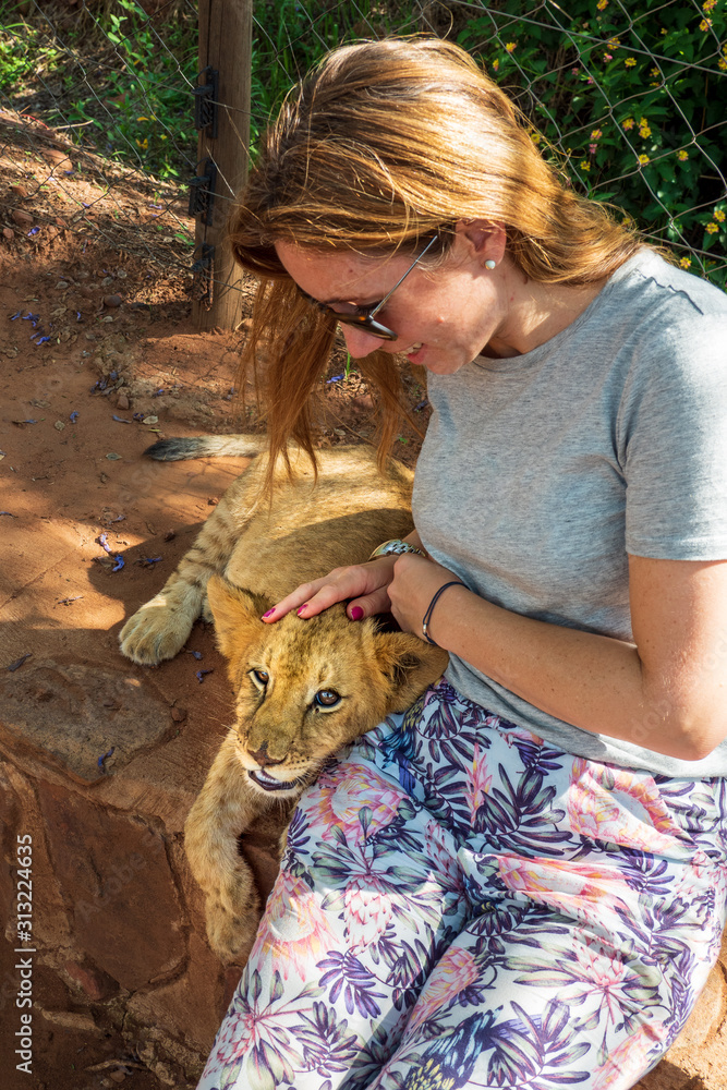 Female tourist touching, petting, stroking and cuddling a 4 month old ...
