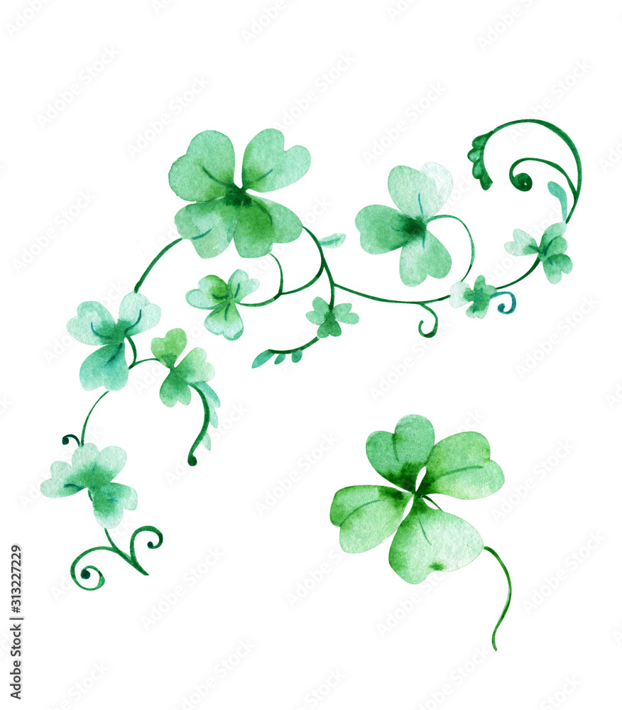Four Leaf Clover Vine