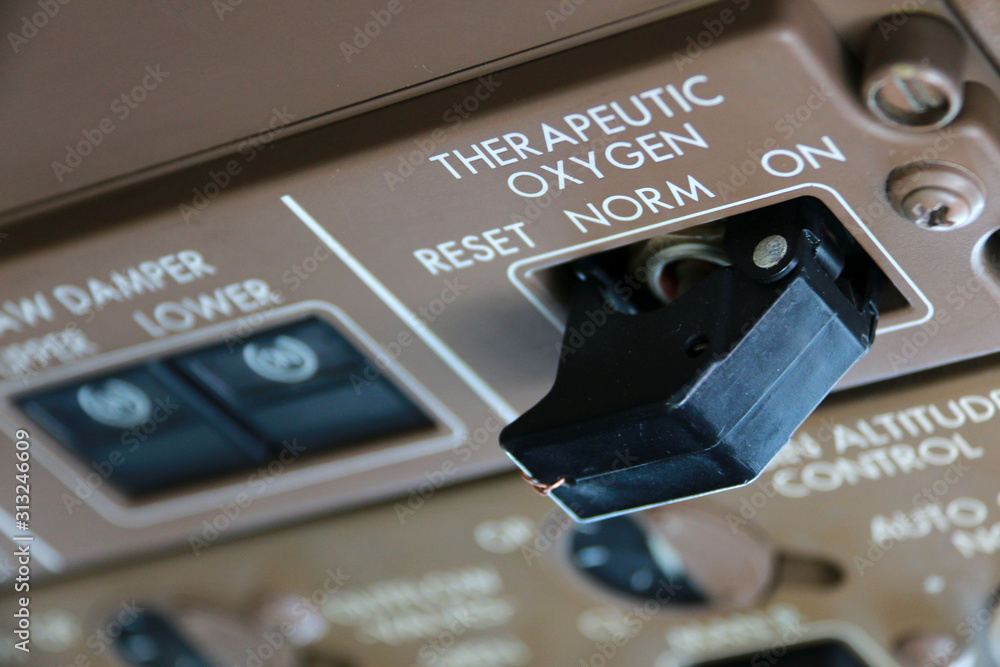Therapeutic Oxygen System Control on the Flight Deck of a Jumbo Jet ...