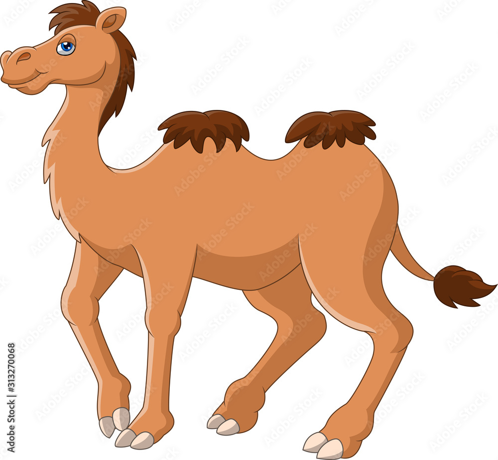 Cartoon funny camel smile and standing Stock Vector | Adobe Stock