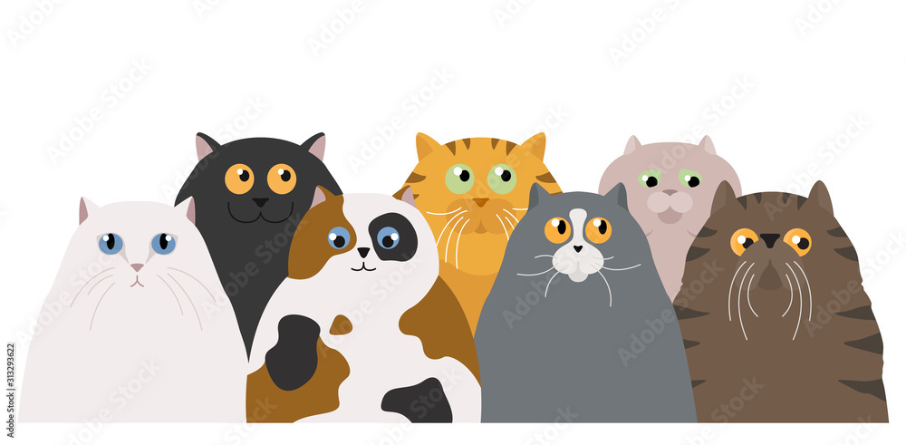 Cat poster. Cartoon cat characters collection. Different cat`s poses ...
