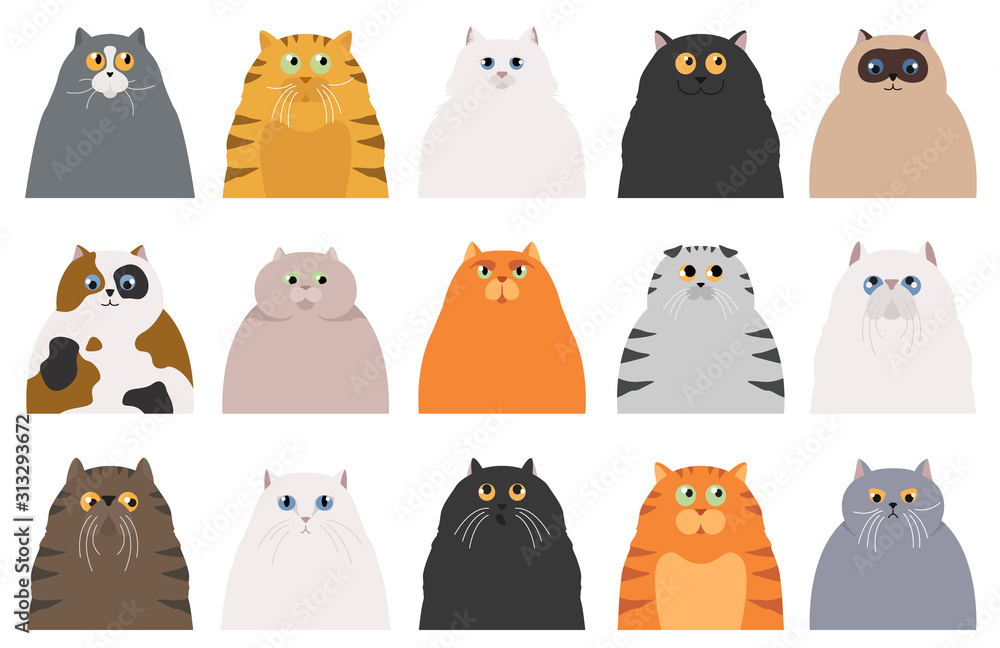 Cat poster. Cartoon cat characters collection. Different cat`s poses ...