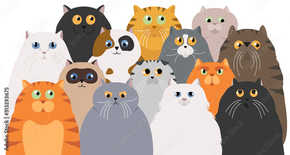 Cat poster. Cartoon cat characters collection. Different cat`s poses ...