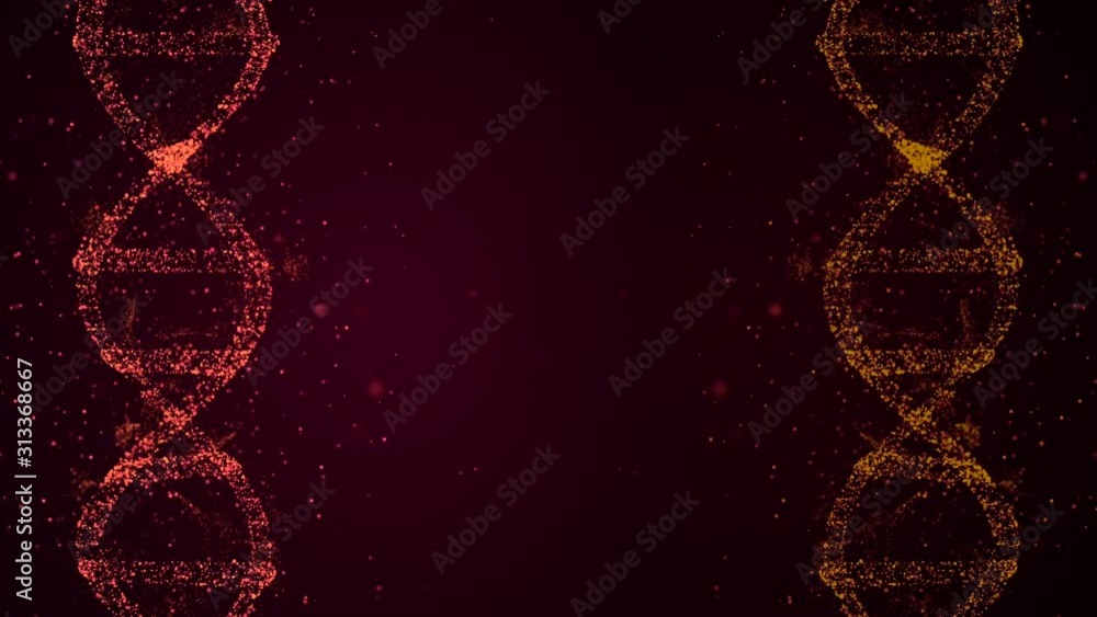 DNA division concept. Loopable abstract background of dna duplicating ...