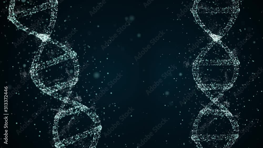 DNA division concept. Loopable abstract background of dna duplicating ...