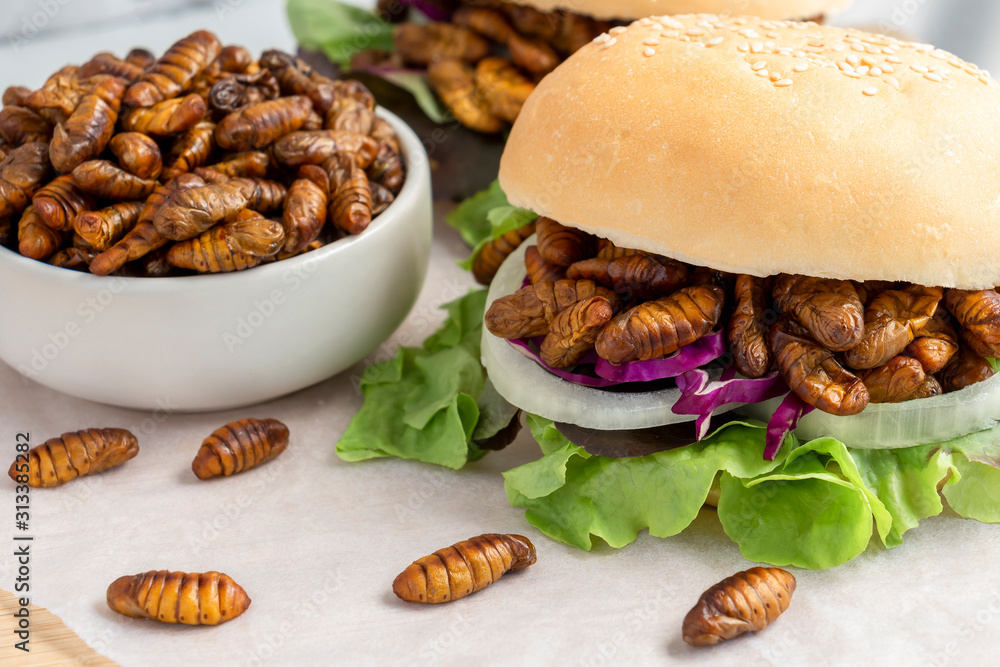 Food Insects: Silkworm Pupae insect deep-fried for eating as food in bread burger with vegetable ...
