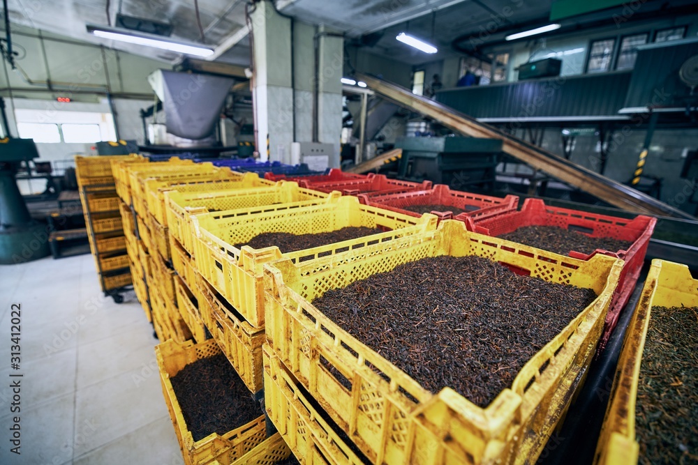 Production in tea factory Stock Photo | Adobe Stock