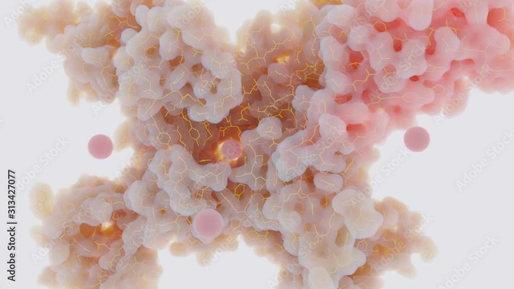 Voltage-gated sodium channel transporting a sodium ion into a cell ...