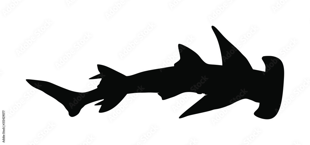Hammerhead shark vector silhouette illustration isolated on white ...