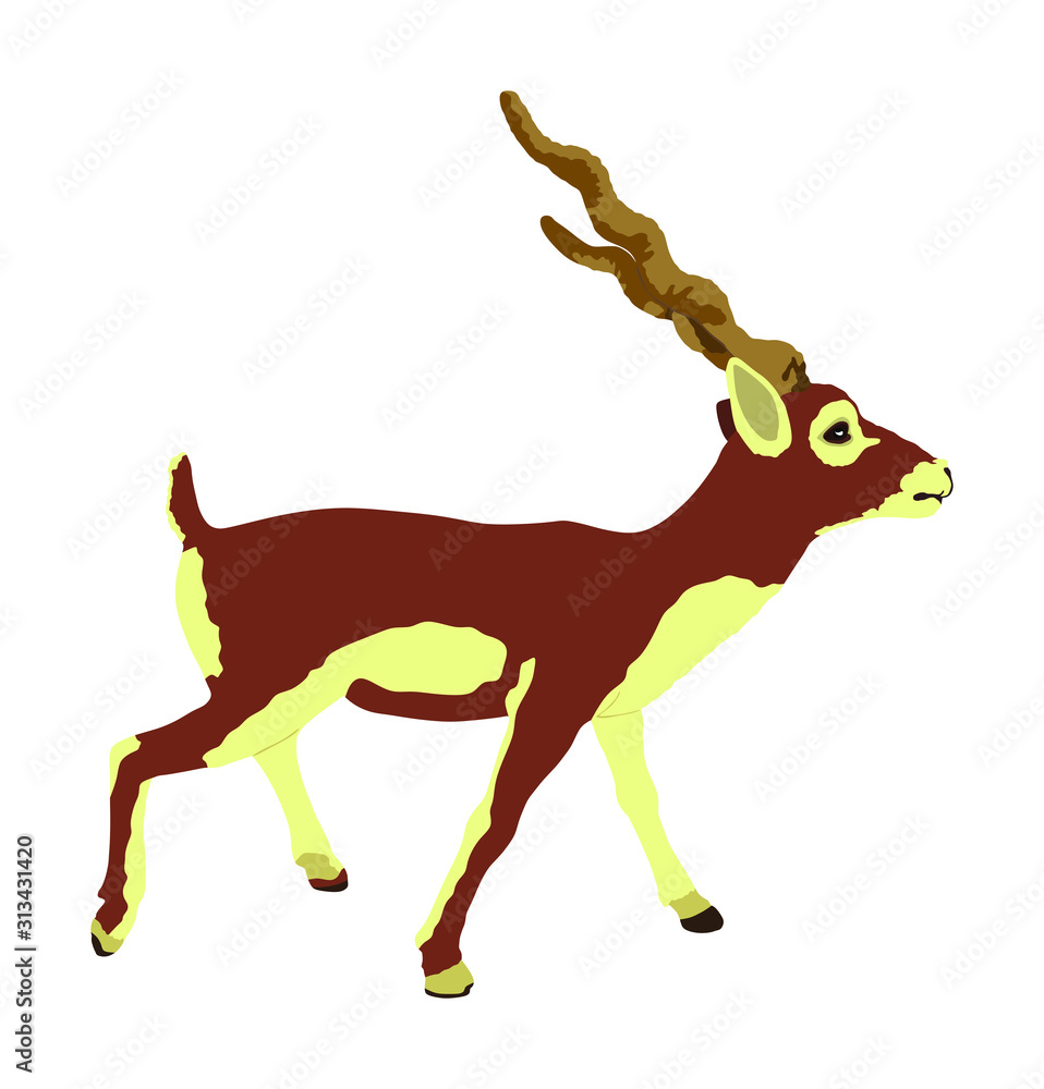 Blackbuck antelope vector illustration isolated on white background ...