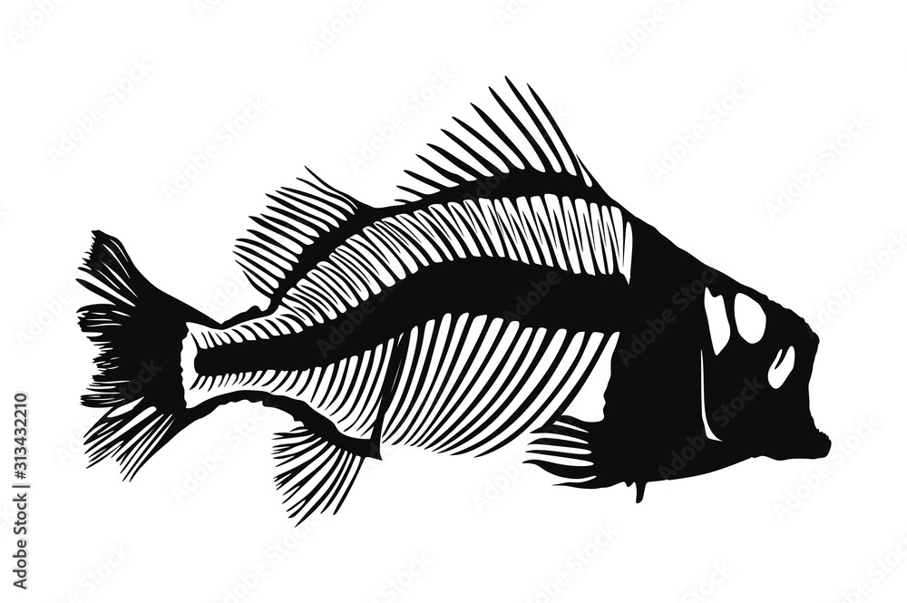 Fish skeleton vector silhouette illustration isolated on white ...
