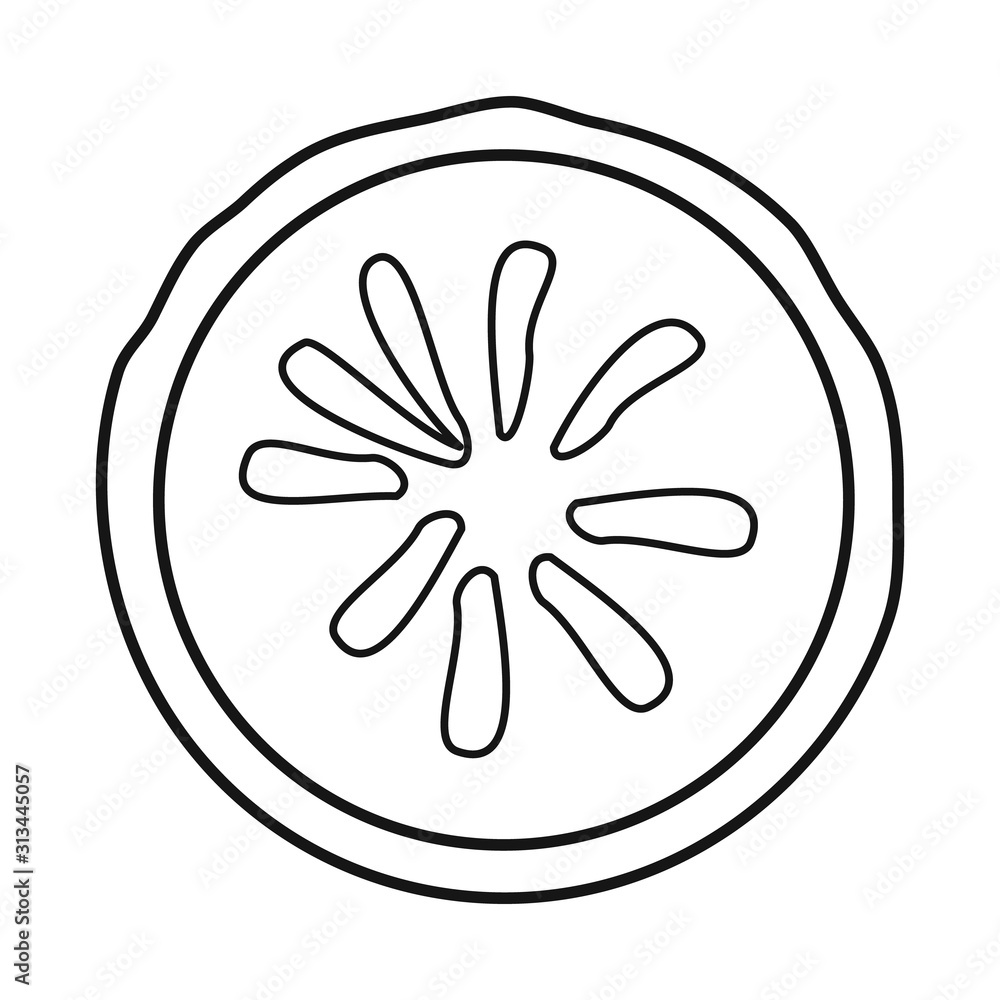 Cucumber Slices Drawing