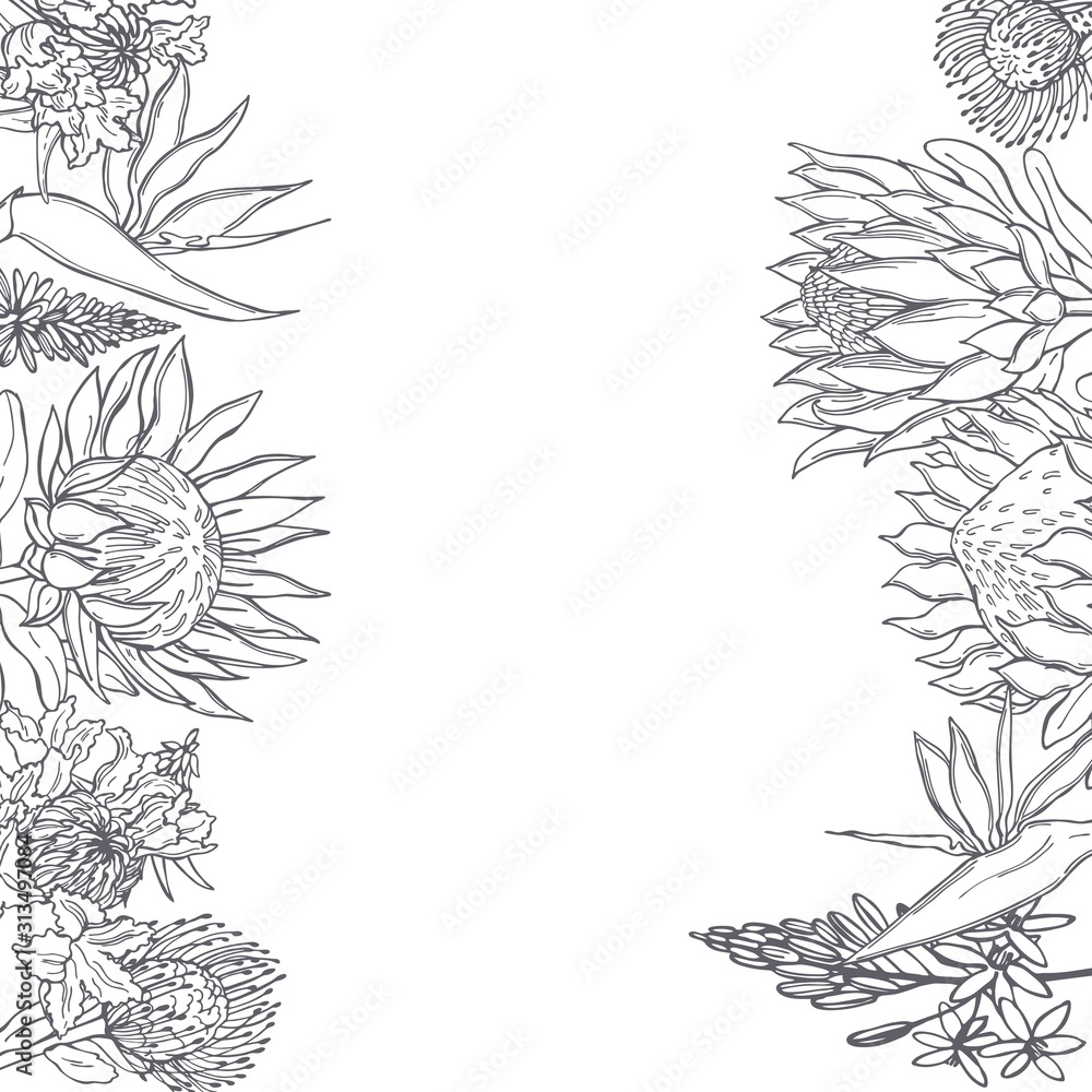 Hand drawn African flowers. Vector background. Sketch illustration ...