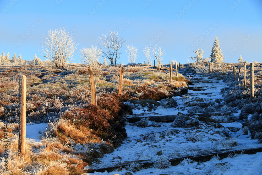 Le Gazon du Faing dans les Vosges en hiver Stock Photo | Adobe Stock