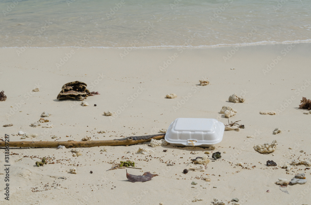 Styrofoam and Plastic Waste, Plastic Pollution- A Threat to All Nations ...