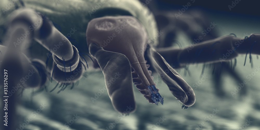 3d rendered illustration of a tick on human skin, sem style Stock ...